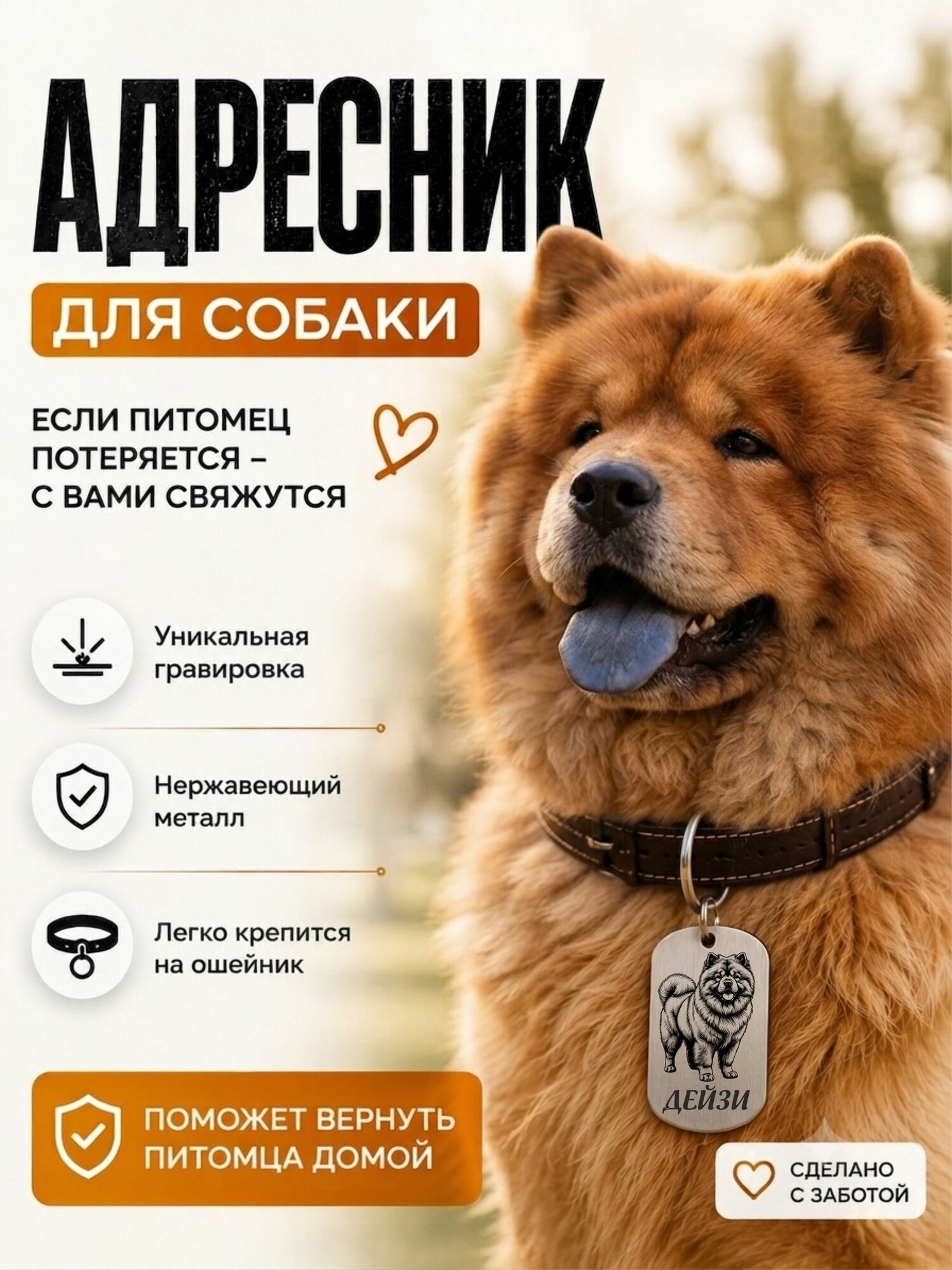 Адресник для собак с гравировкой Дейзи