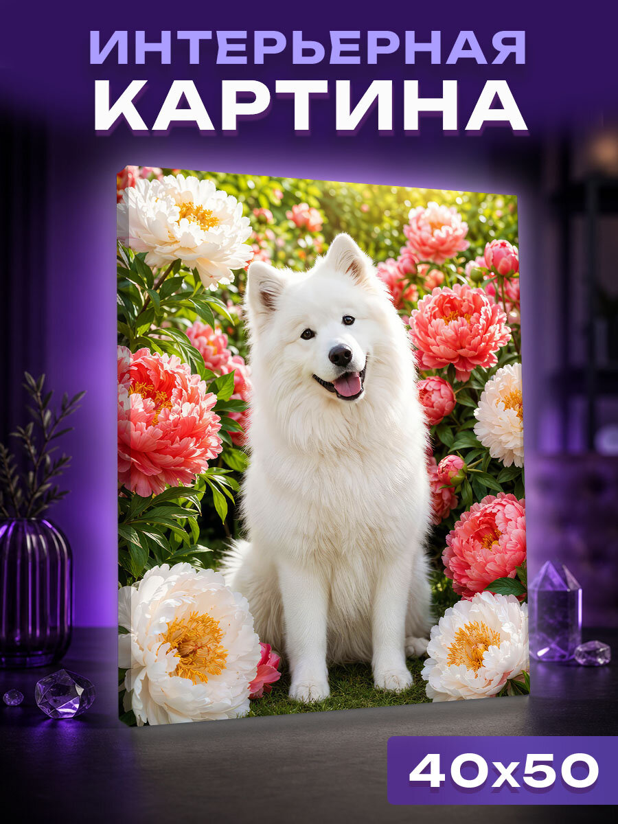 Интерьерная картина Белоснежный самоед в розовых пионах
