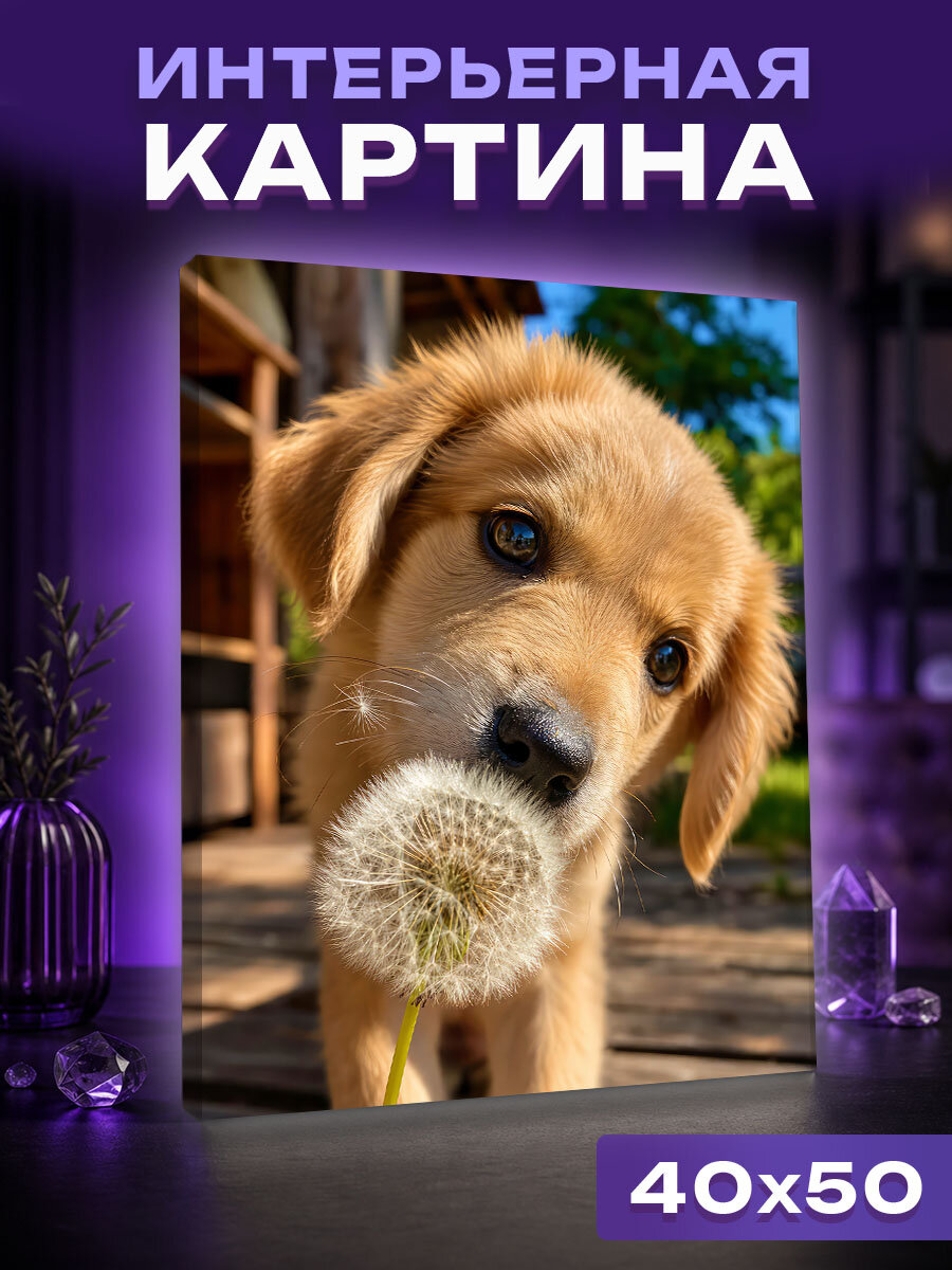 Интерьерная картина Щенок и белый одуванчик