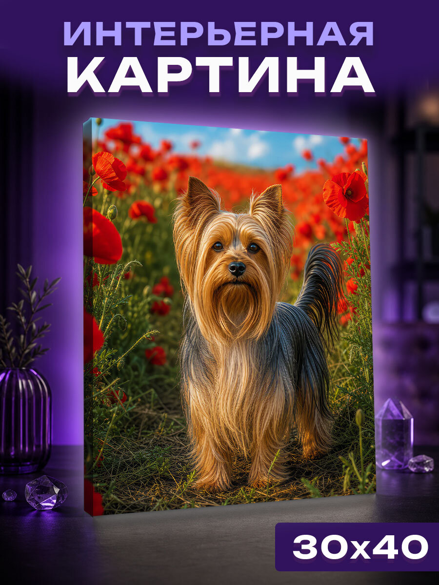 Интерьерная картина Йоркширский терьер в поле маков