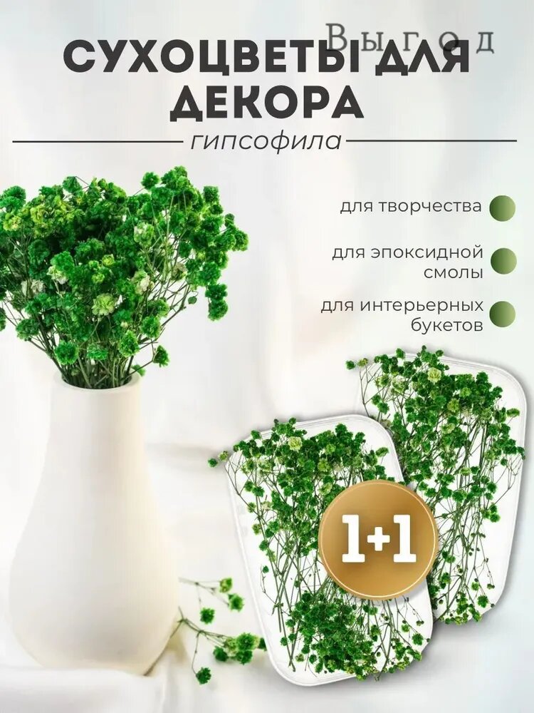 Сухоцветы Гипсофила, 2 шт