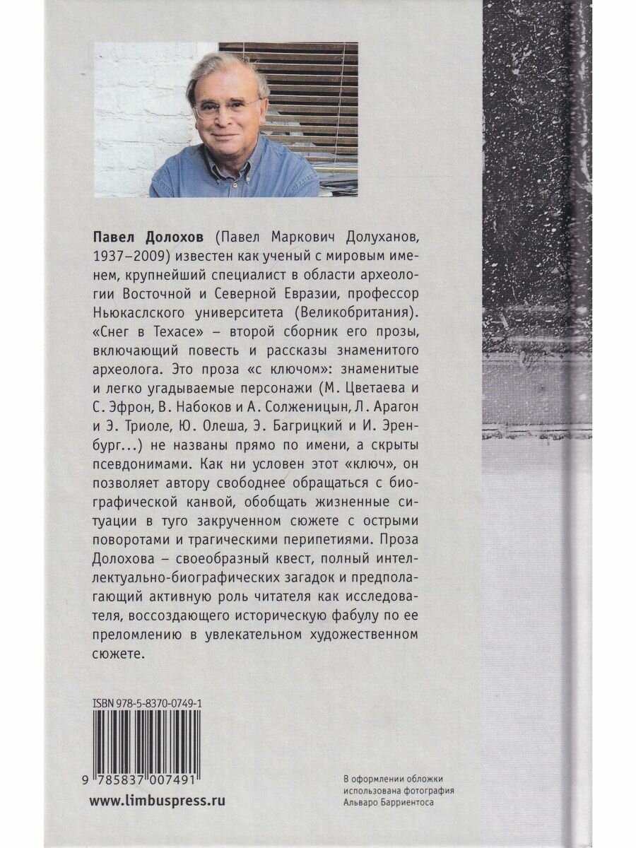 Снег в Техасе — фото 1