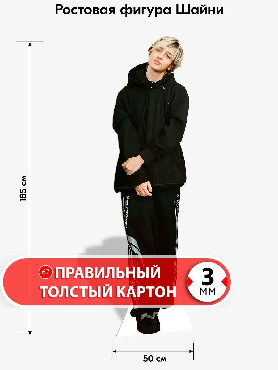 Аксессуар для фотосессий, самое это, Шайни (Никита Поляков), ростовая фигура