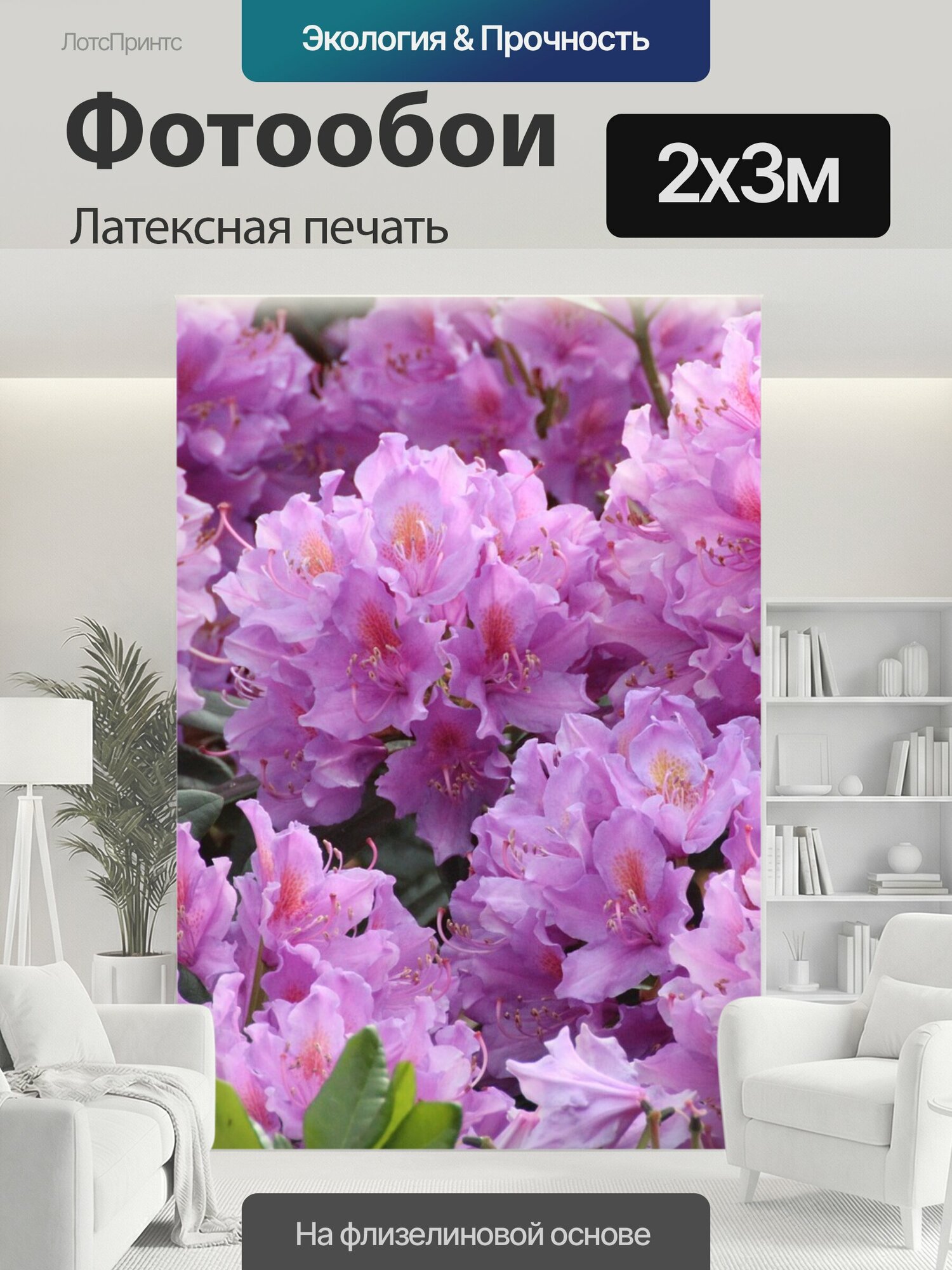 Фотообои моющиеся ударопрочные "Рододендрон, цветок, расцветает" 200x300 см. латексная печать