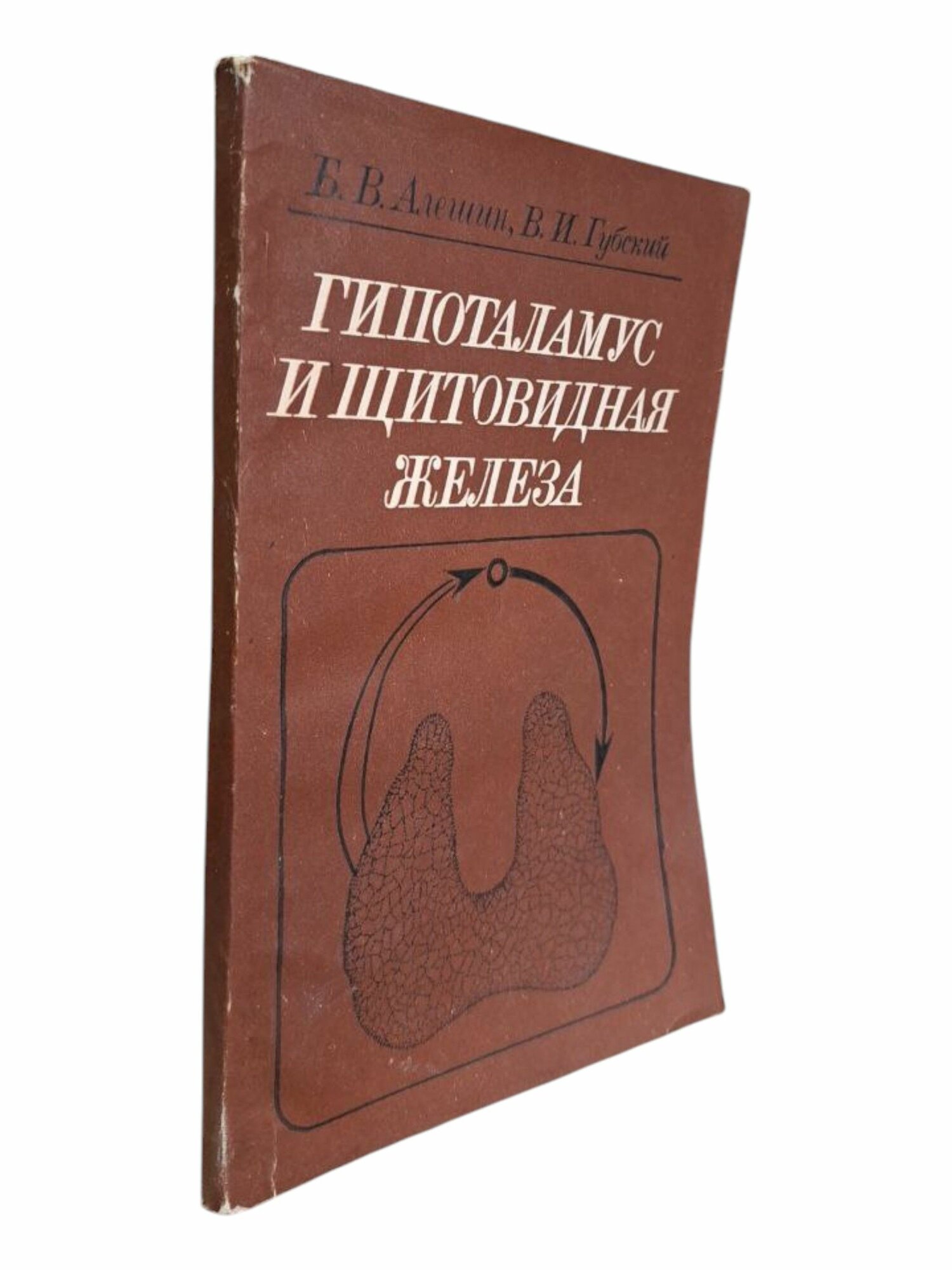 Гипоталамус и щитовидная железа