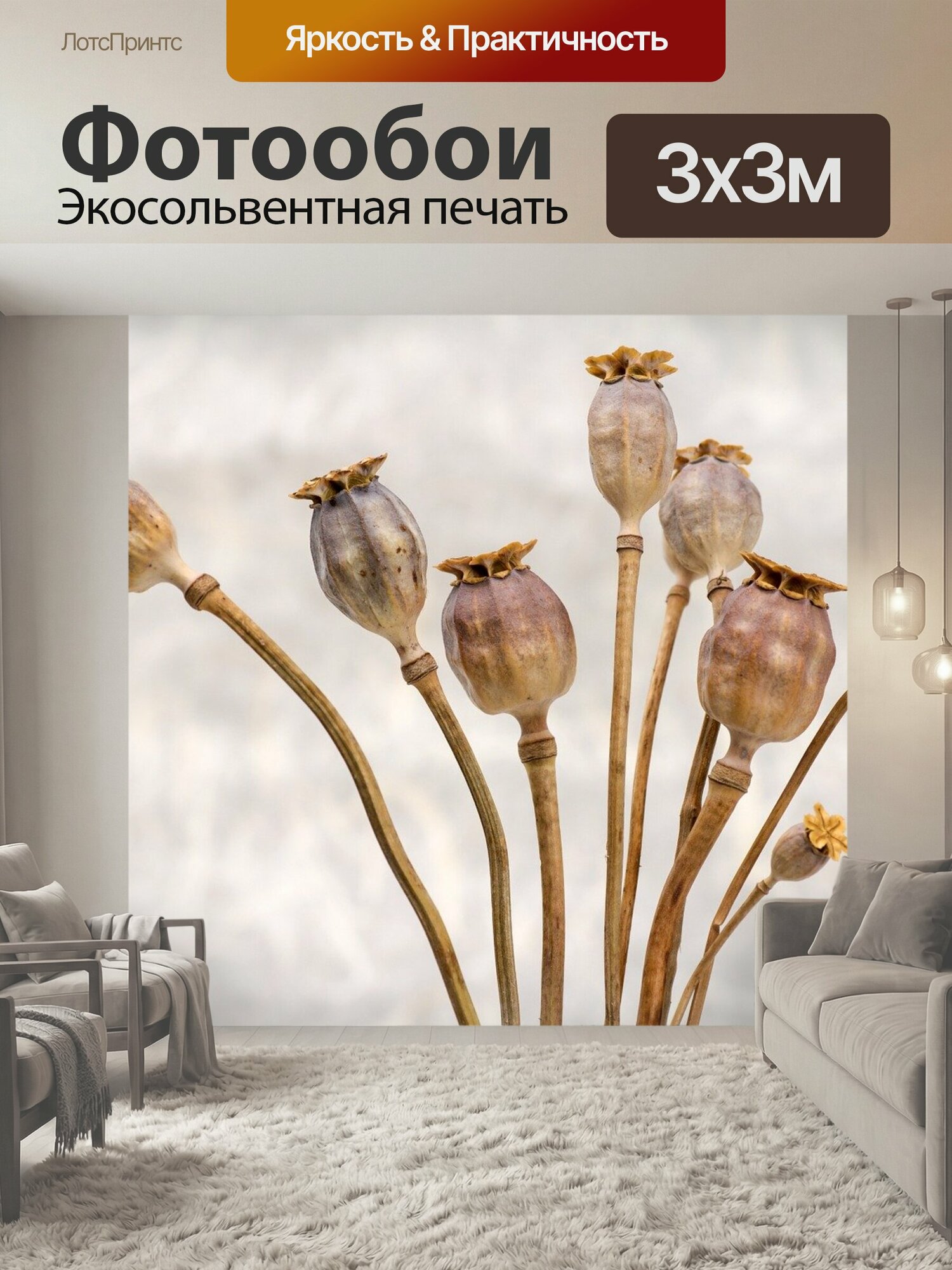 Фотообои "Мак, капсулы с маком, сухой" 300x300 см. экосольвентная печать