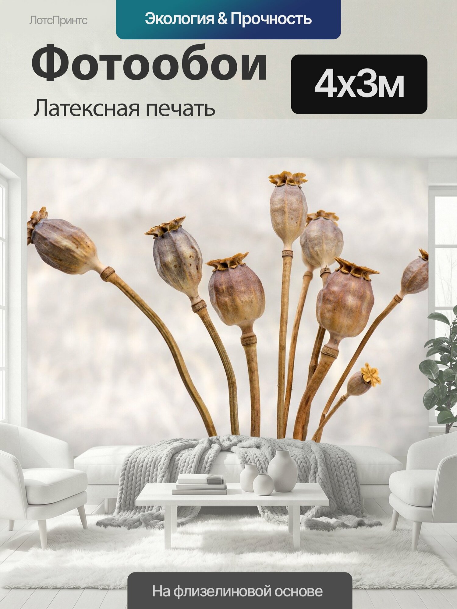 Фотообои моющиеся ударопрочные "Мак, капсулы с маком, сухой" 400x300 см. латексная печать