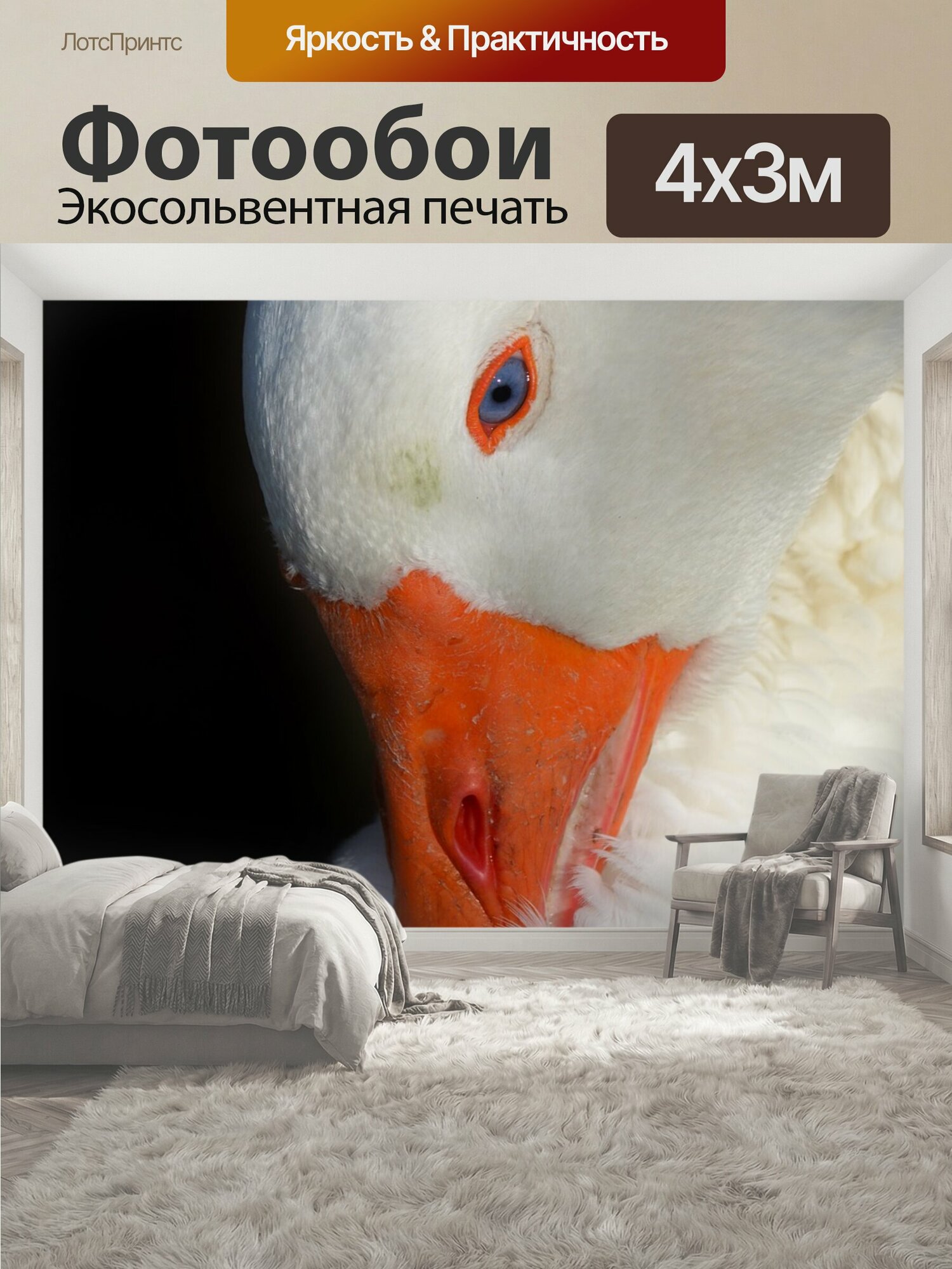 Фотообои "Гусь, птица, гусей" 400x300 см. экосольвентная печать