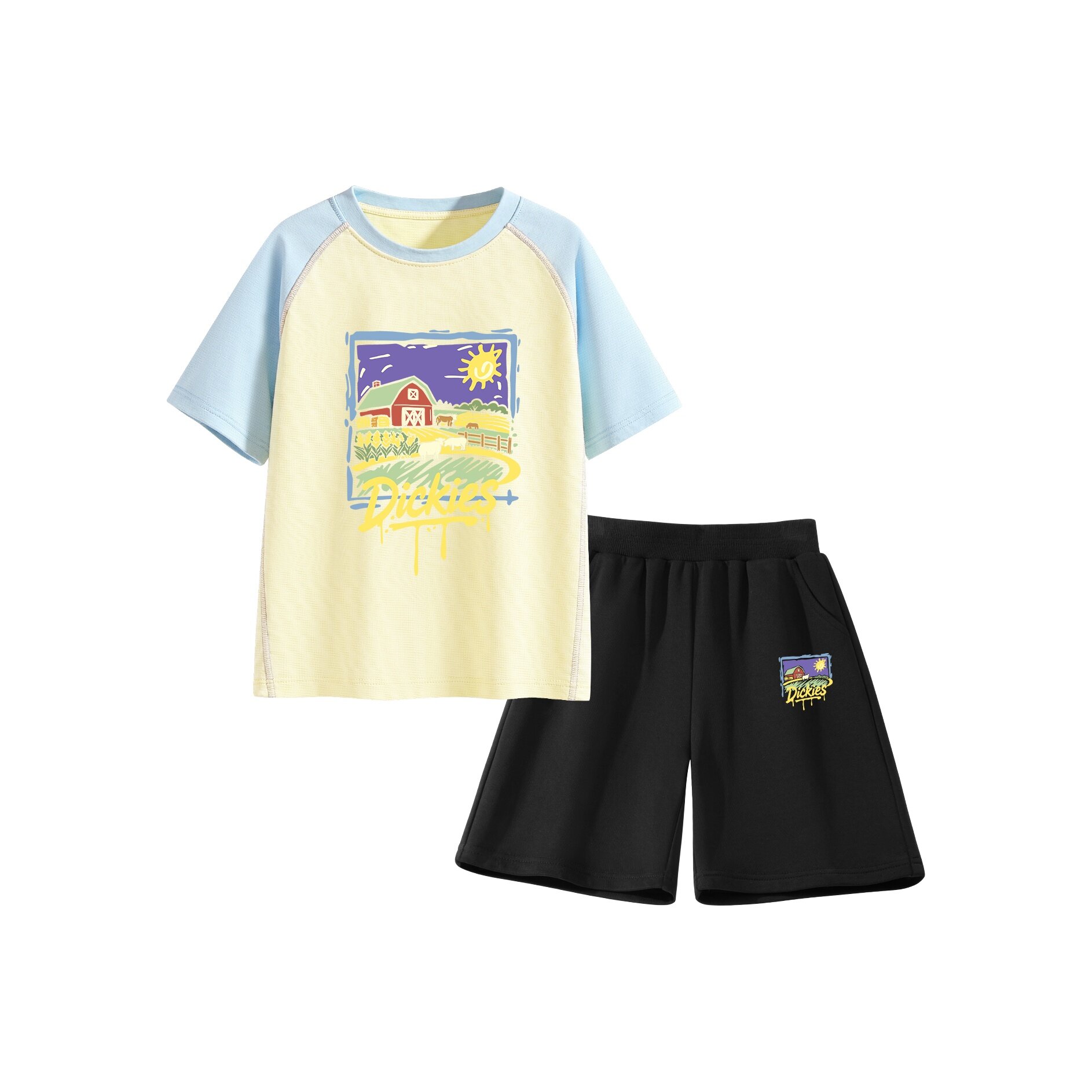Комплект одежды Dickies