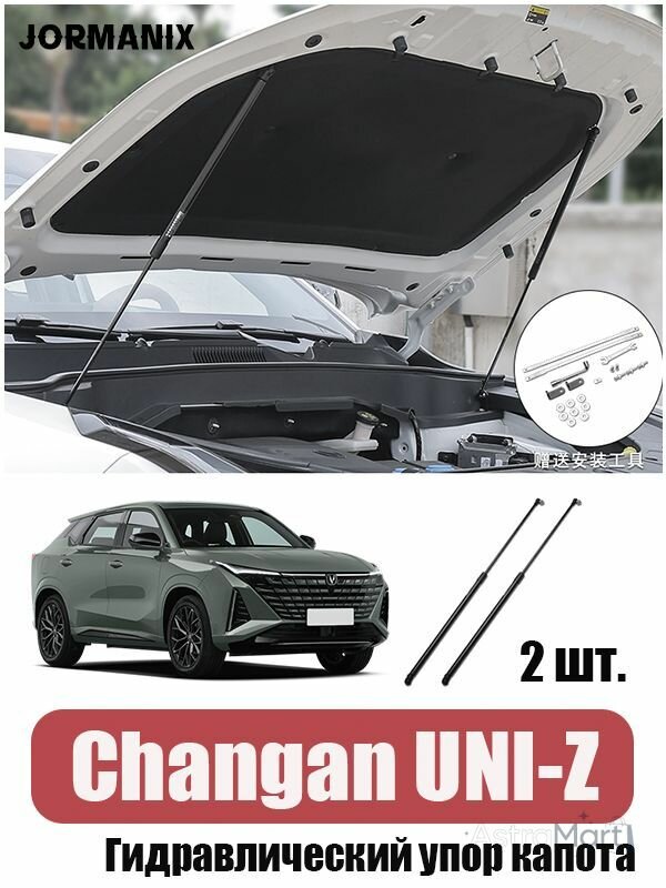 Changan Защита внешних частей автомобиля, 2 шт.