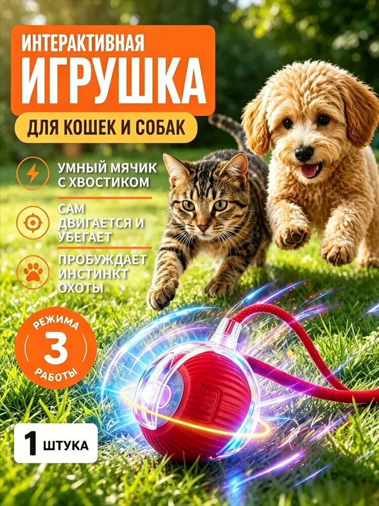 Автоматические интерактивные игрушки для кошек и котят с поводком