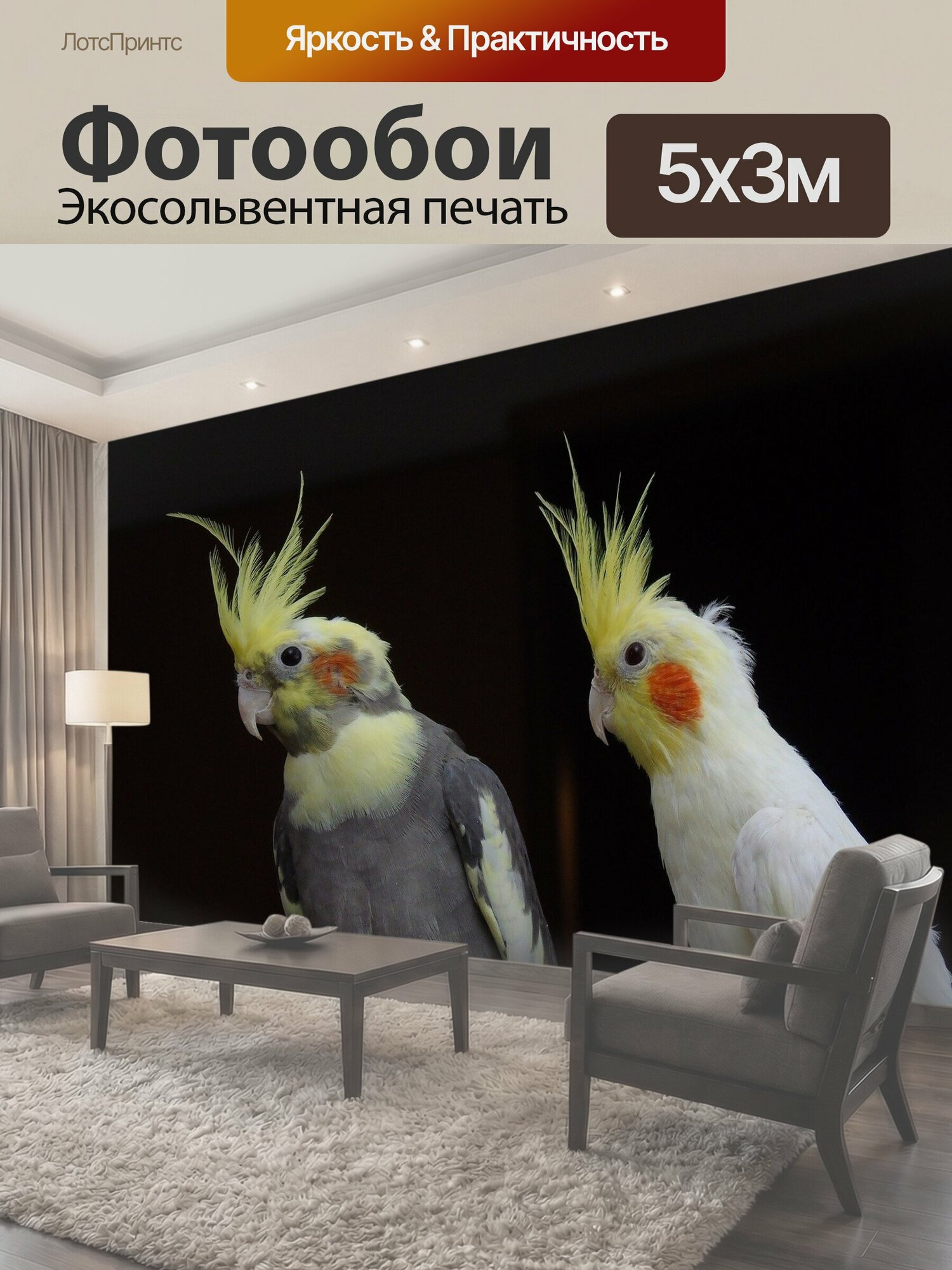 Фотообои "Корелла, попугай, какаду" 500x300 см. экосольвентная печать