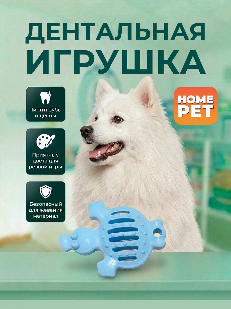 HOMEPET Dental 13,5 см х 11 см игрушка для собак утка голубая
