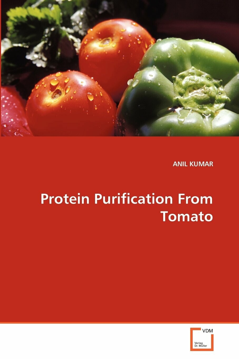 Protein Purification From Tomato — фото 1
