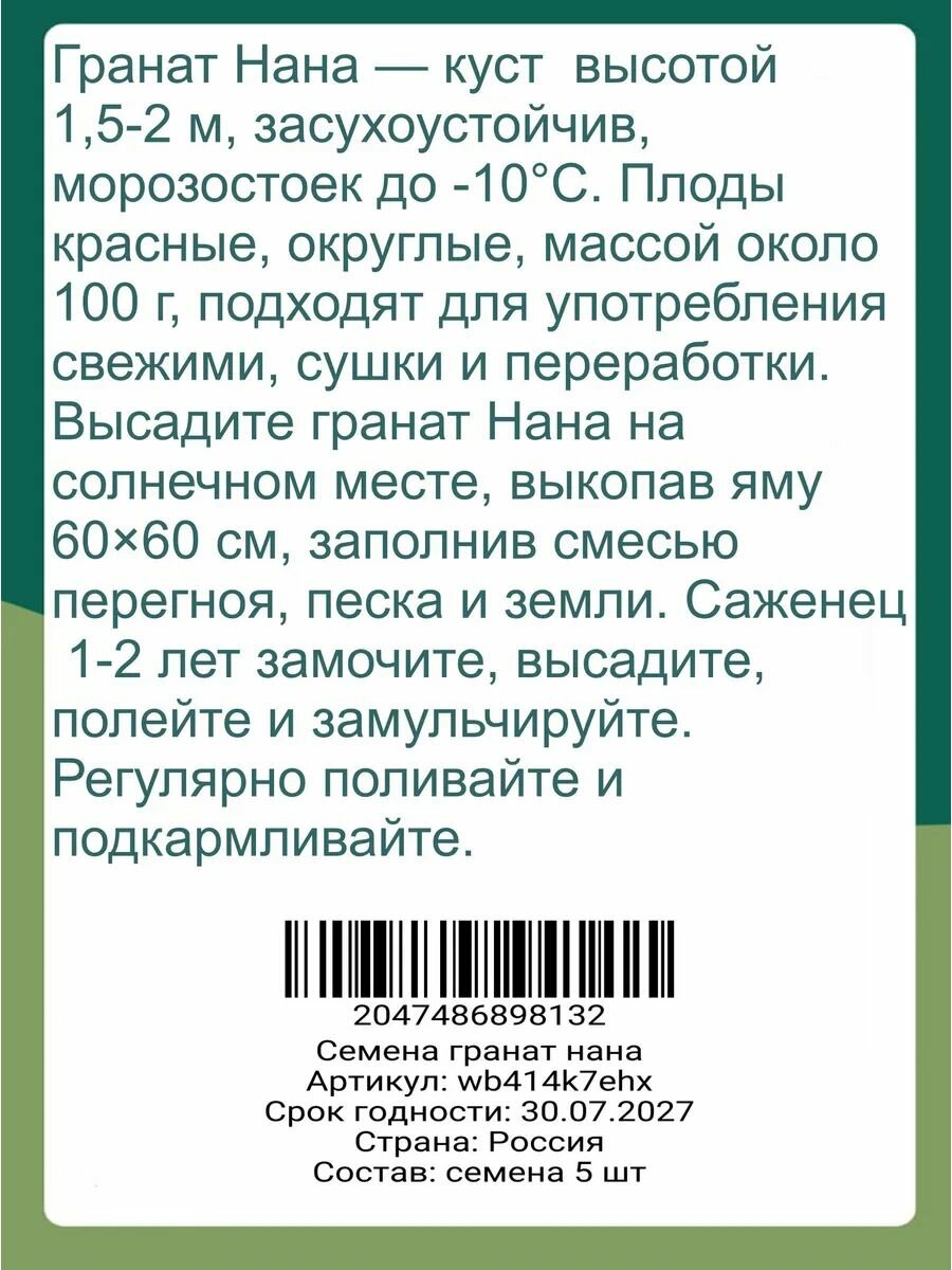 Семена граната Нана — фото 1