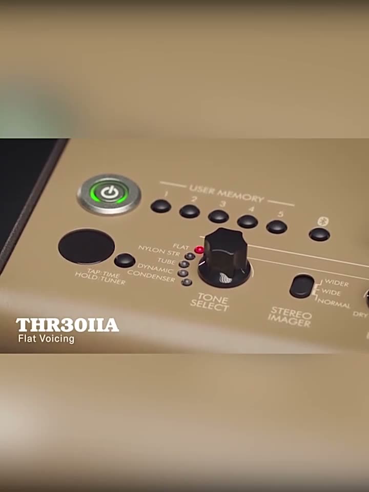 THR30ii WL WIRELESS - гитарный комбо — фото 1