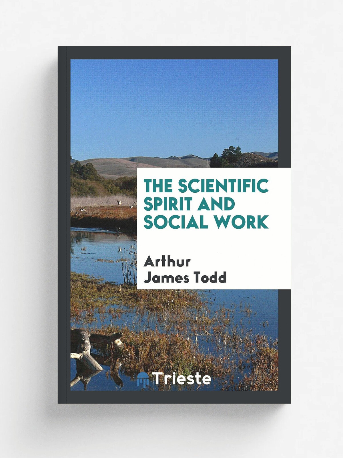 The scientific spirit and social work