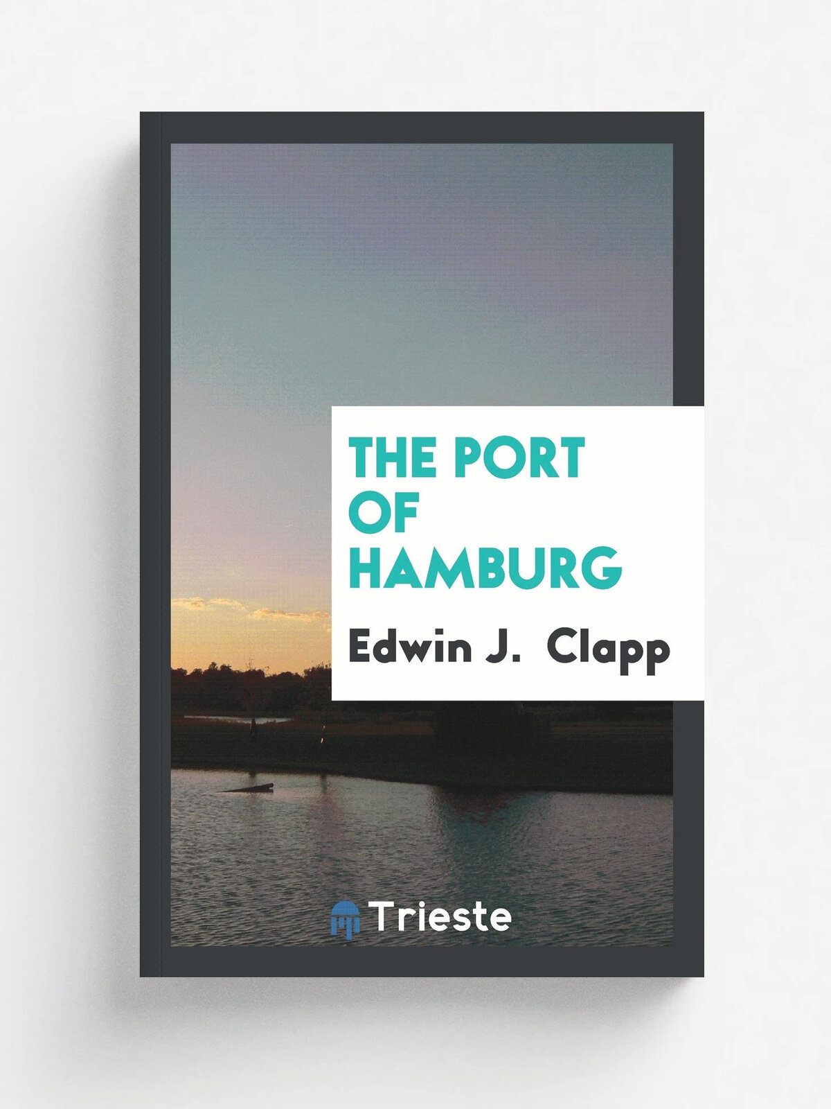 The port of Hamburg