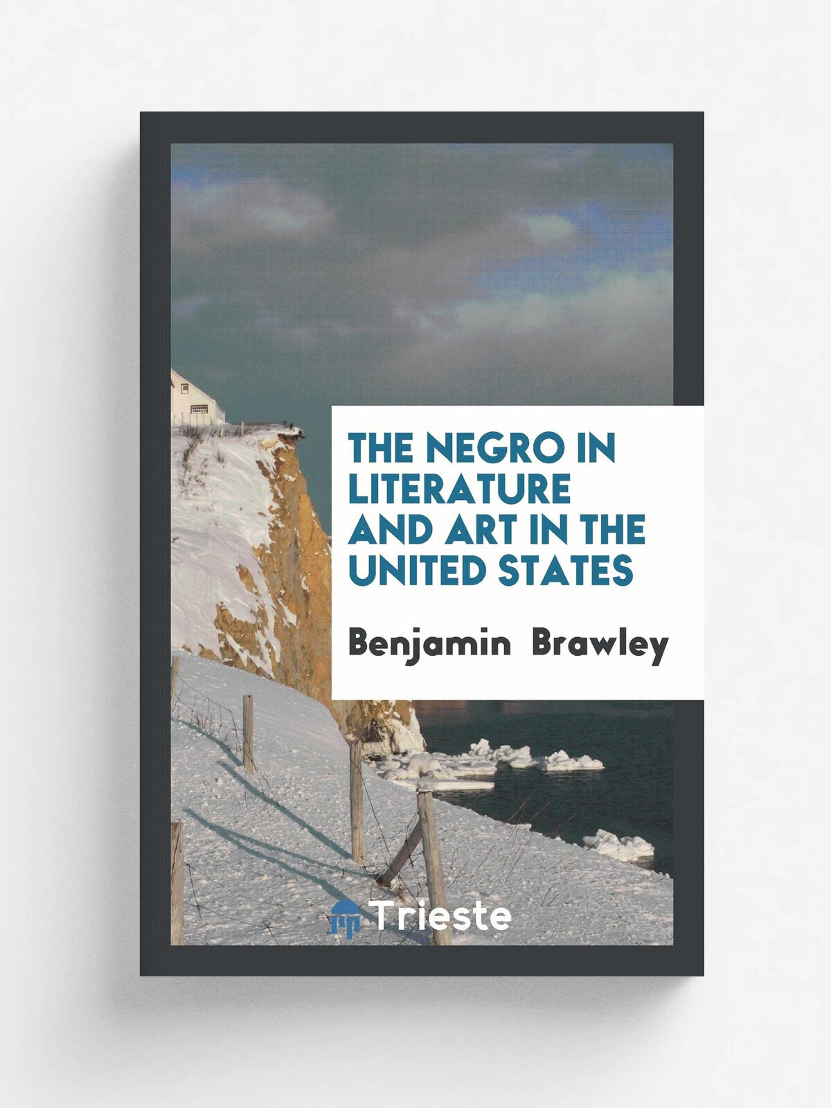 The Negro in literature and art in the United States