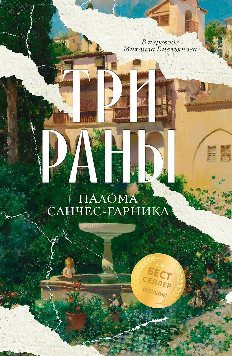 Три раны (16+), рипол Классик плюс, 978-5-0058-0654-3, Палома Санчес-Гарника, 2025