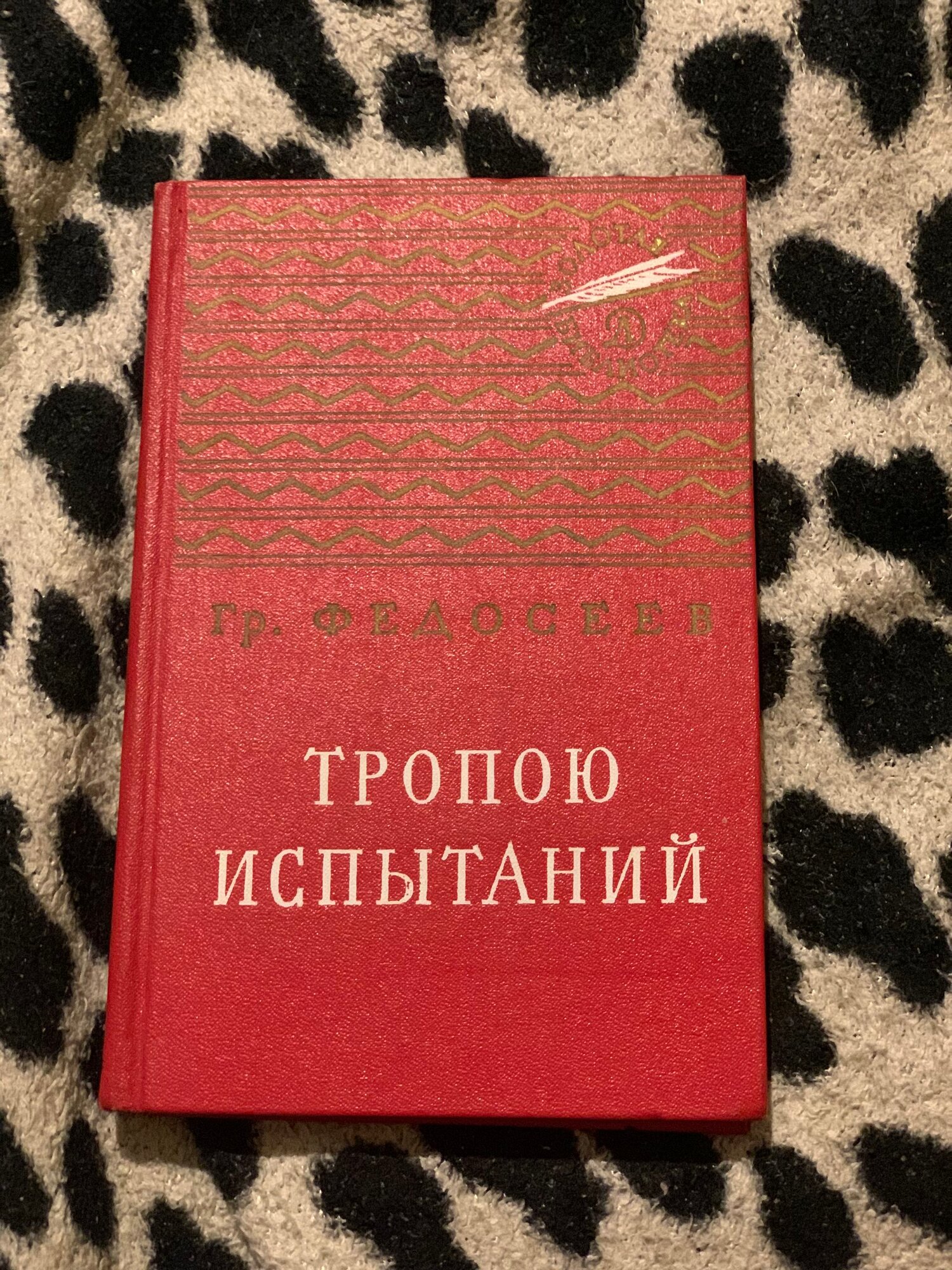 Тропой Испытаний, Гр. Федосеев