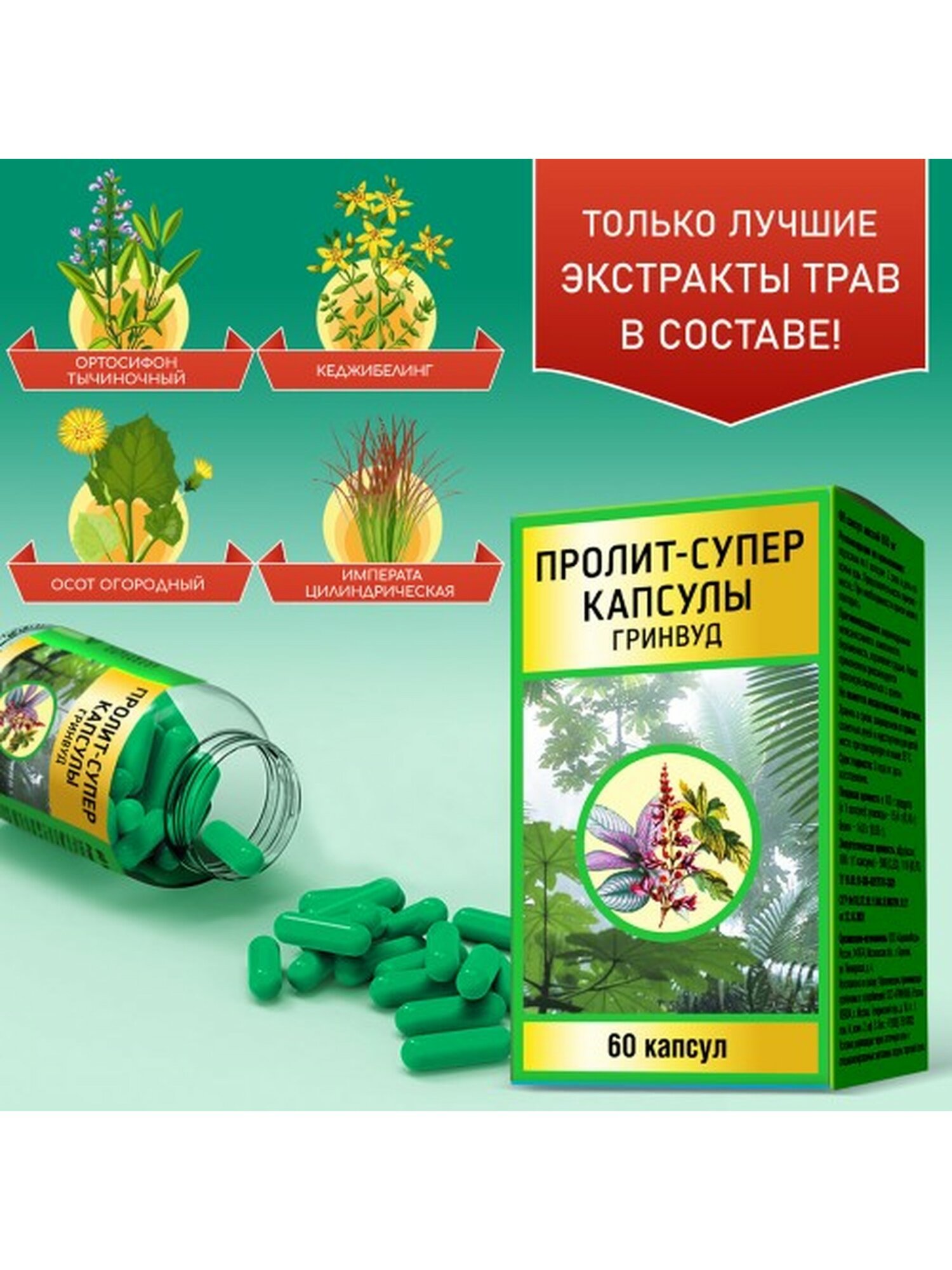 Пролит-супер капсулы гринвуд N60 капс ПО 600МГ — Капсулы массой 600 мг - 60 шт в уп — фото 1