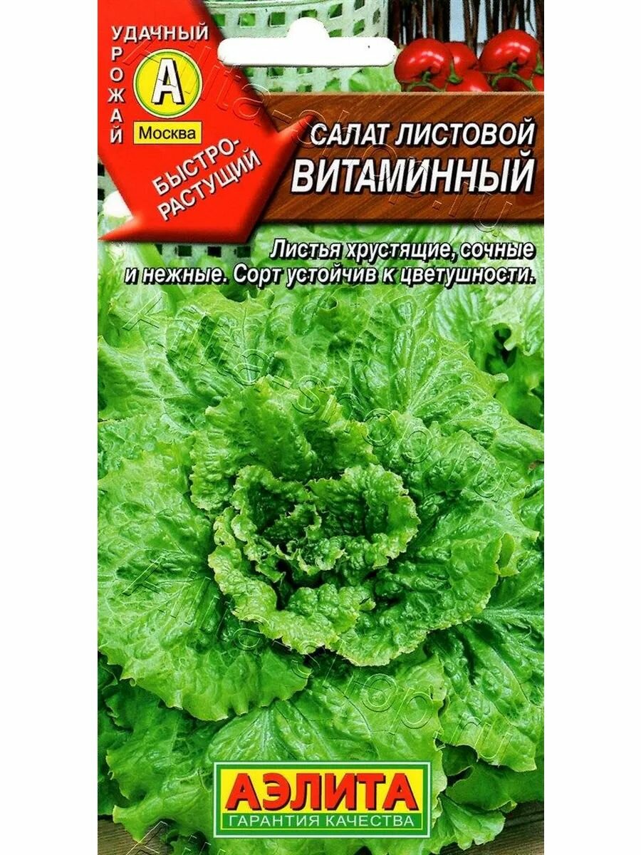 Семена "Салат Витаминный листовой"