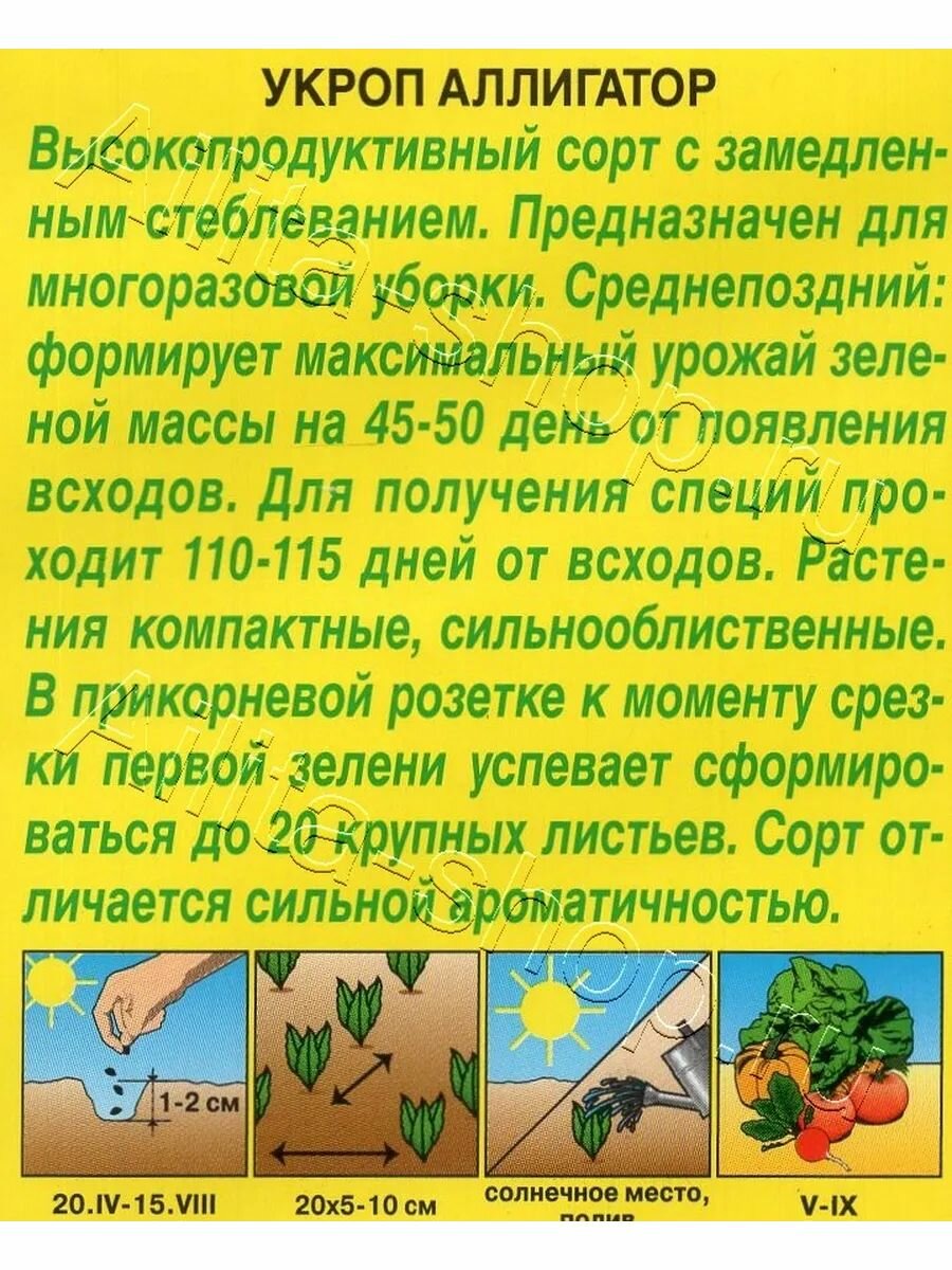 Семена "Укроп Аллигатор", 3г — фото 1