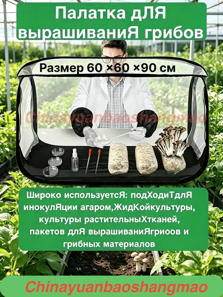 Гроубокс