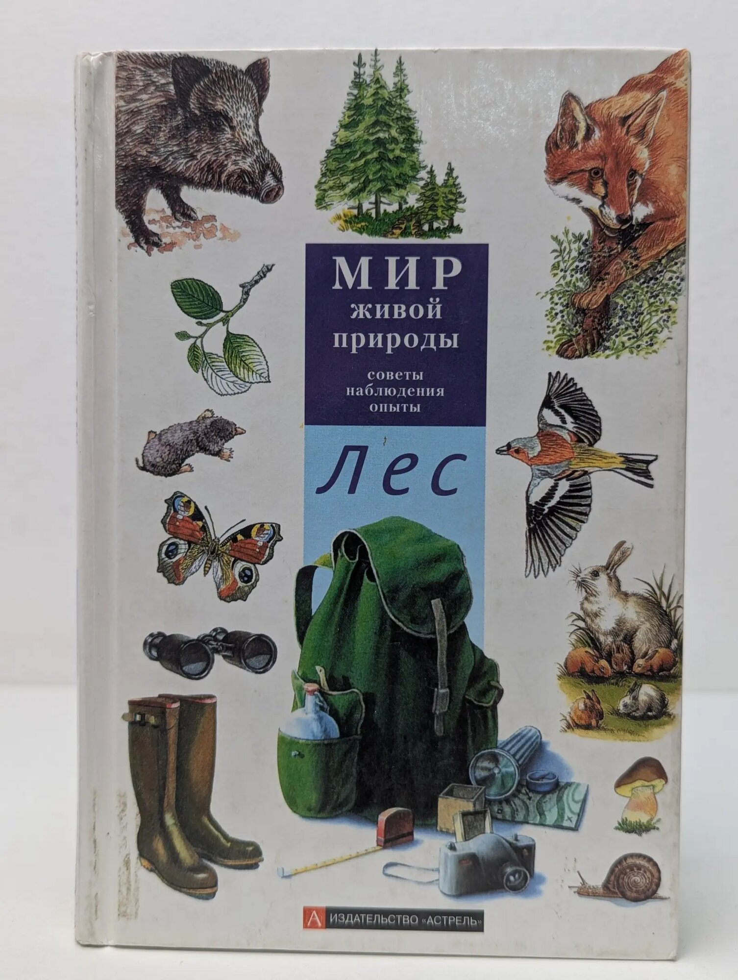 Мир живой природы. Лес Гурье Джеймс 2000