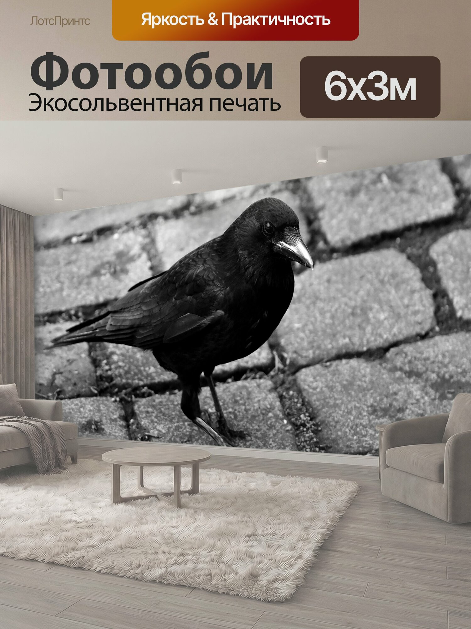 Фотообои "Обыкновенный ворон, ворона, ворон" 600x300 см. экосольвентная печать
