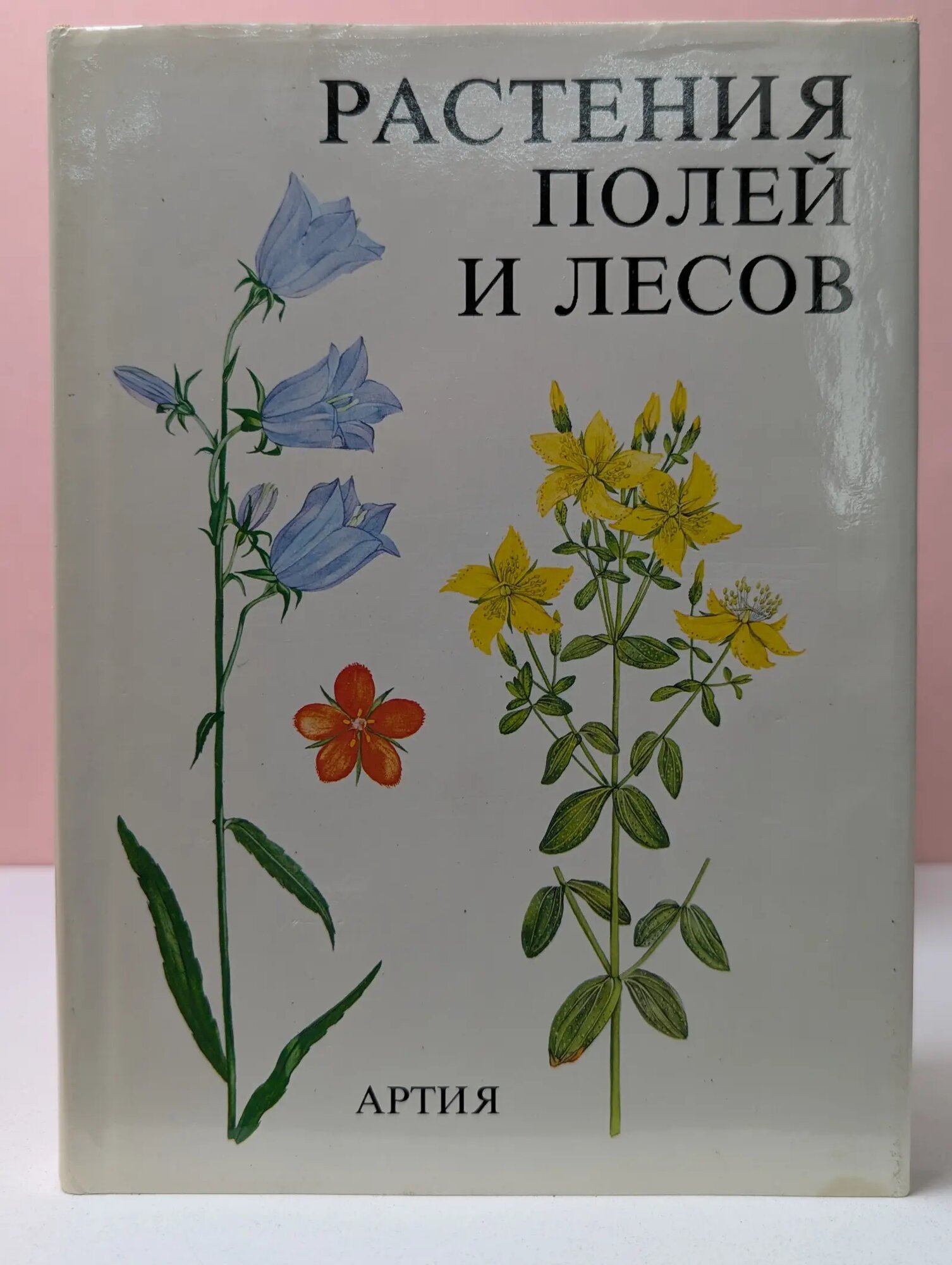 Растения полей и лесов Фельдман Владимир Исаевич 1987