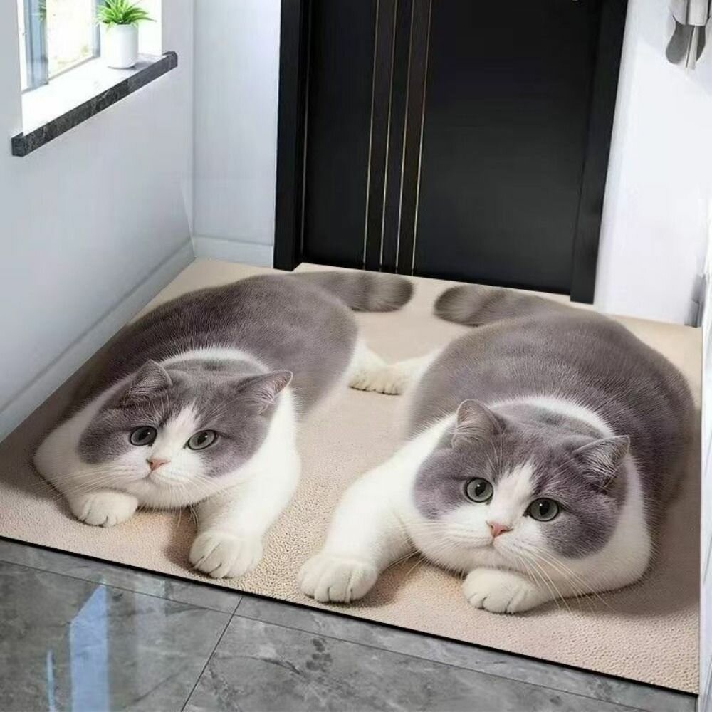 Коврик для двери спальни