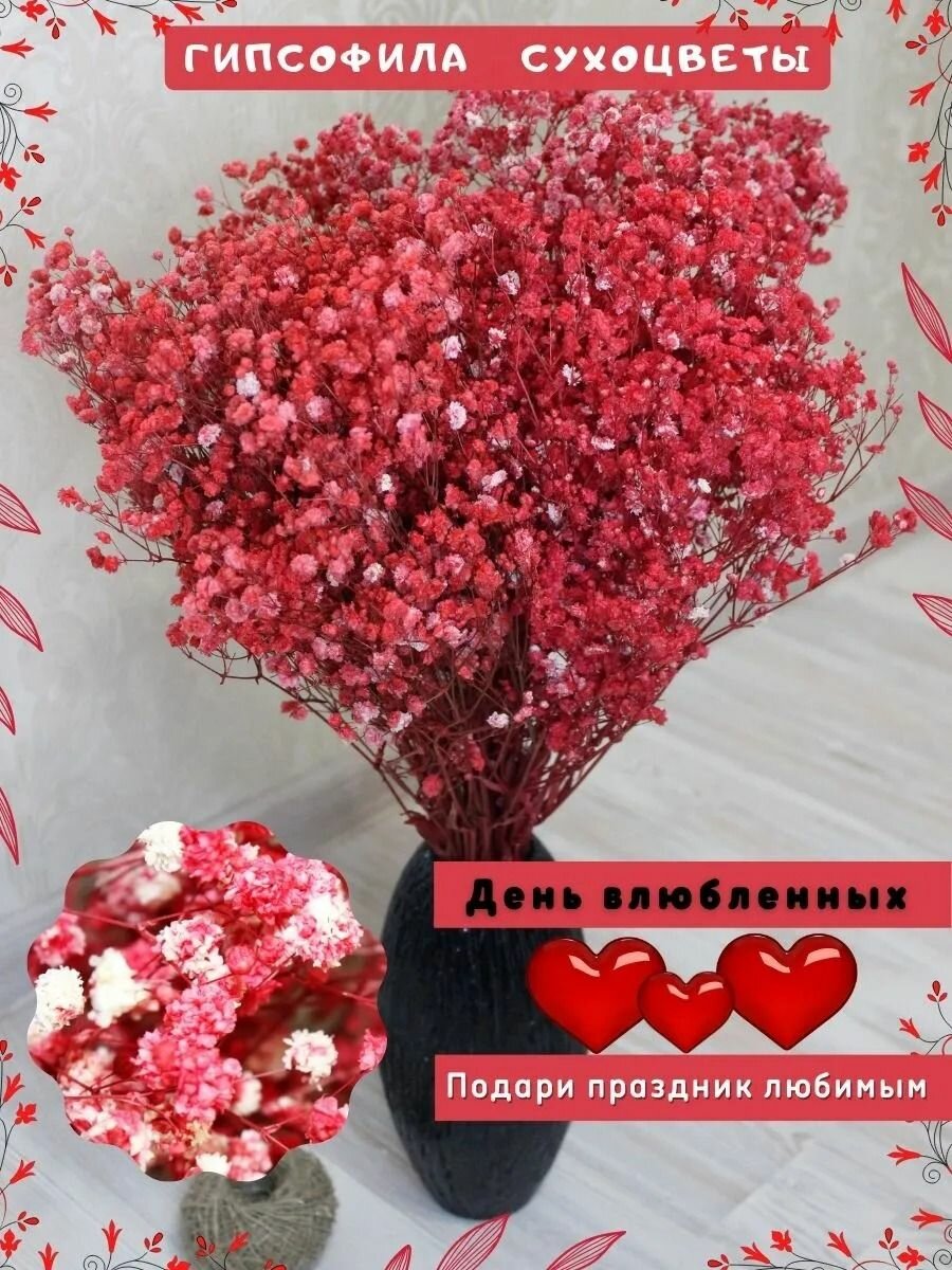 Сухоцветы Гипсофила, 50 см, 50 гр