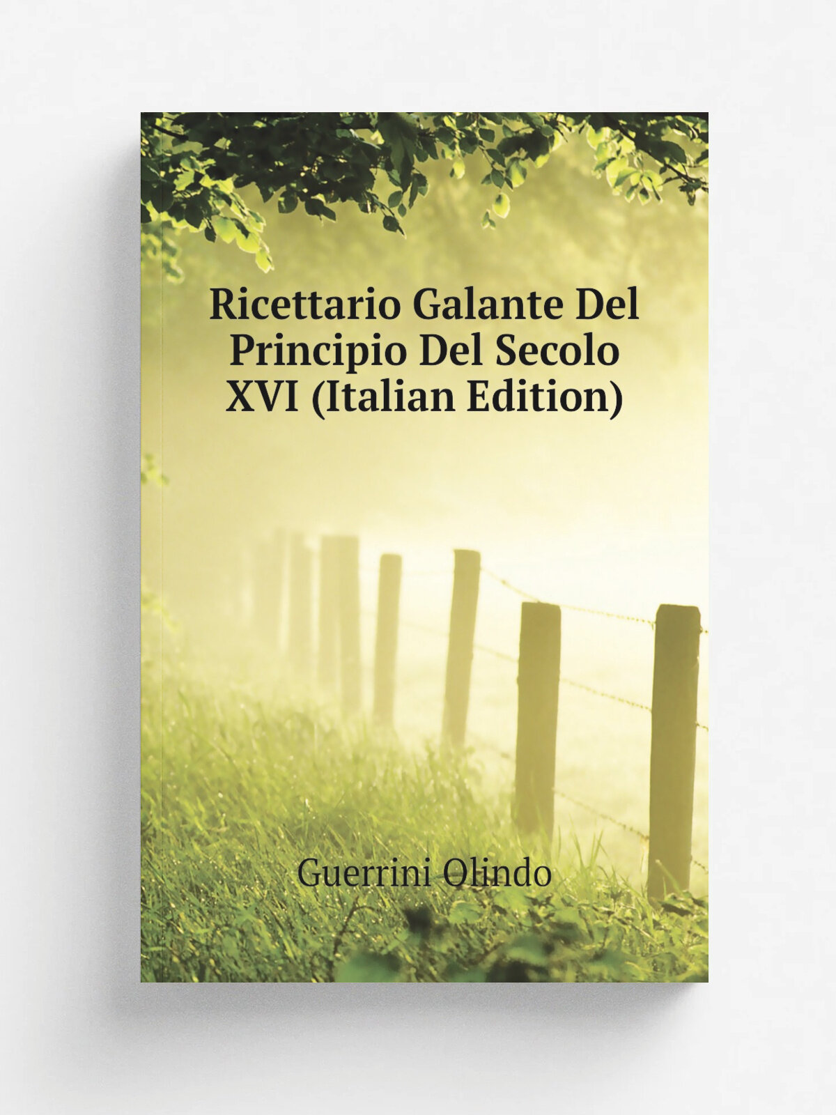 Ricettario Galante Del Principio Del Secolo Xvi (Italian Edition) | Guerrini Olindo | Репринт