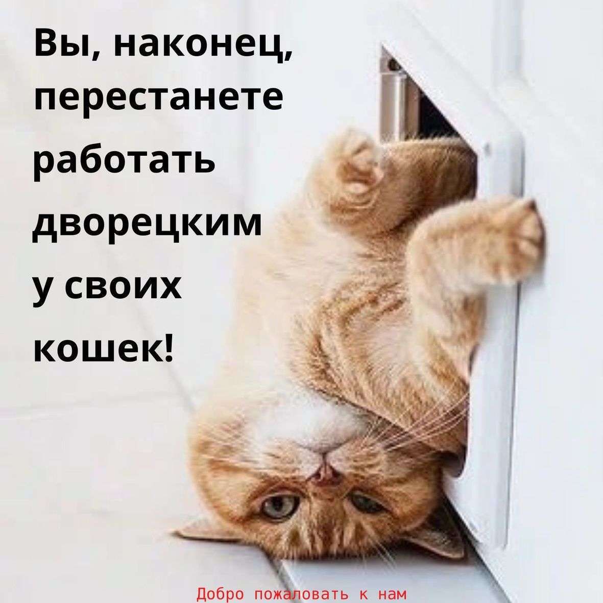 Дверца для животных — фото 1