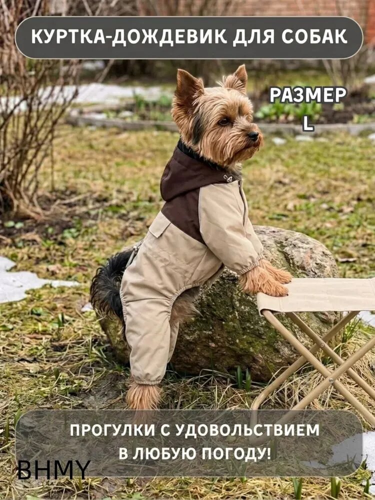 Одежда для животных — фото 1