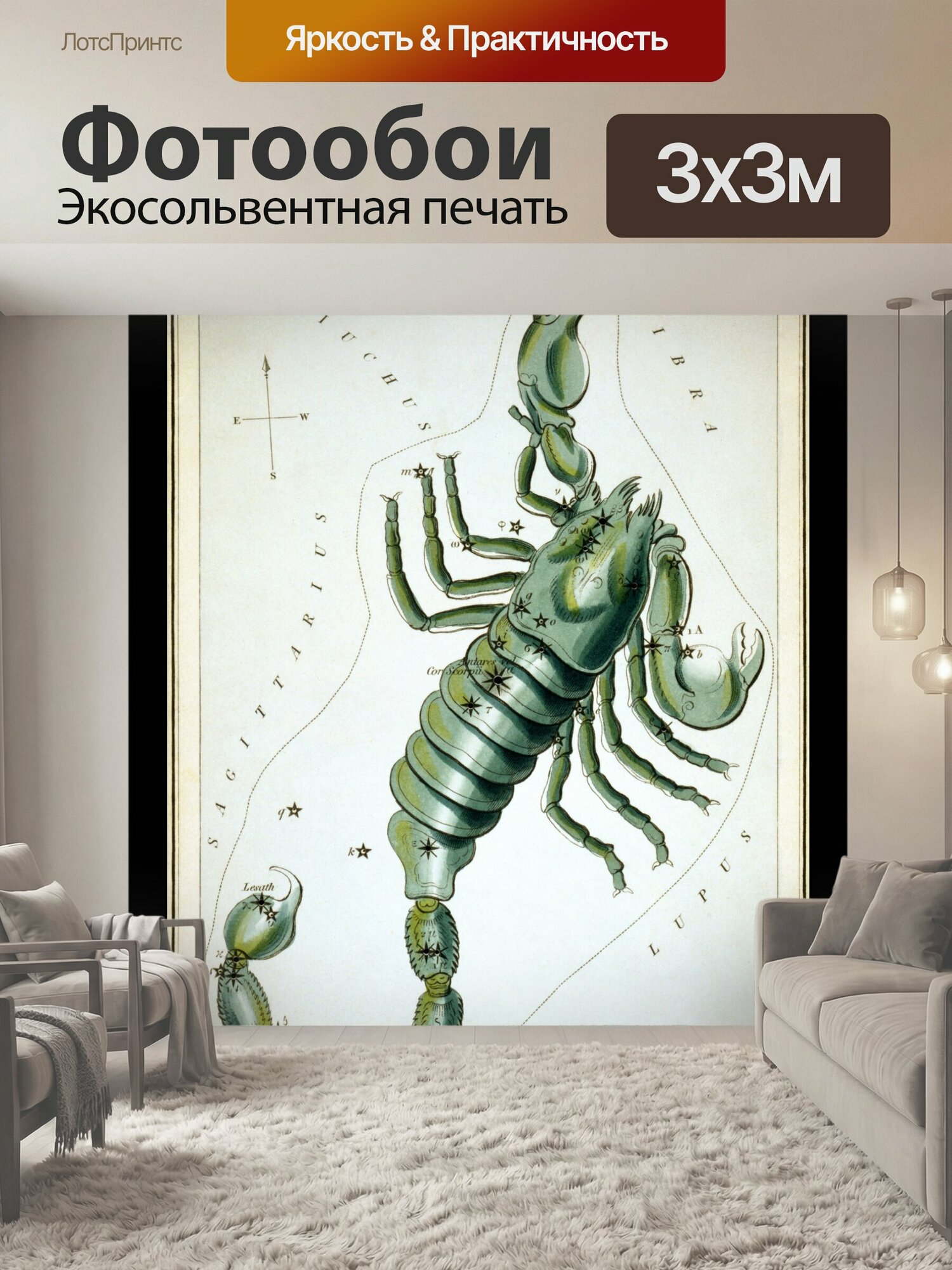 Фотообои "Скорпион Vintage Zodiac Art Print Скорпион винтажный знак зодиака скорпион винтаж зодиак знак созвездие искусство печать карта." 300x300 см. экосольвентная печать