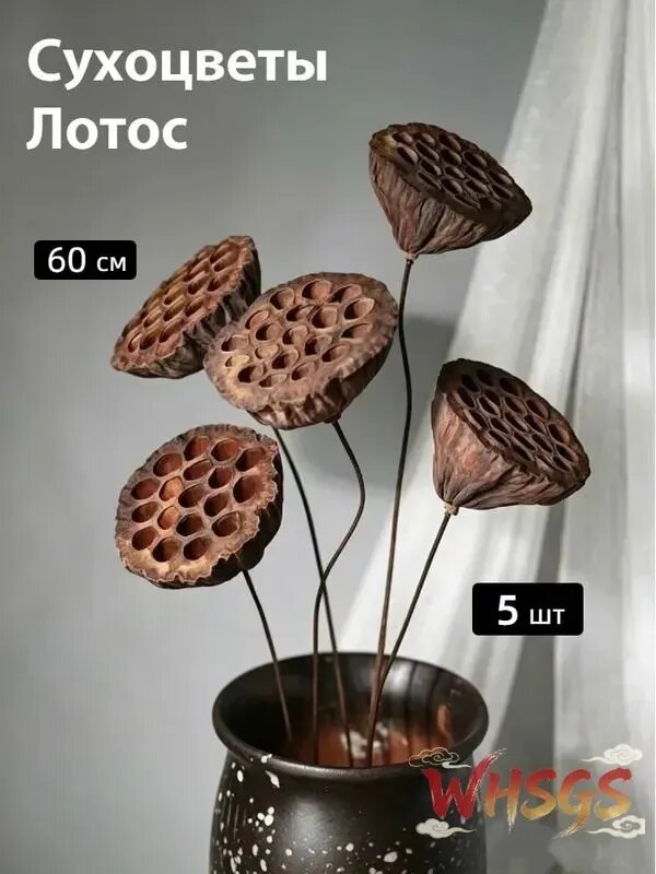 Сухоцветы Лотос, 60 см, 150 гр, 5 шт