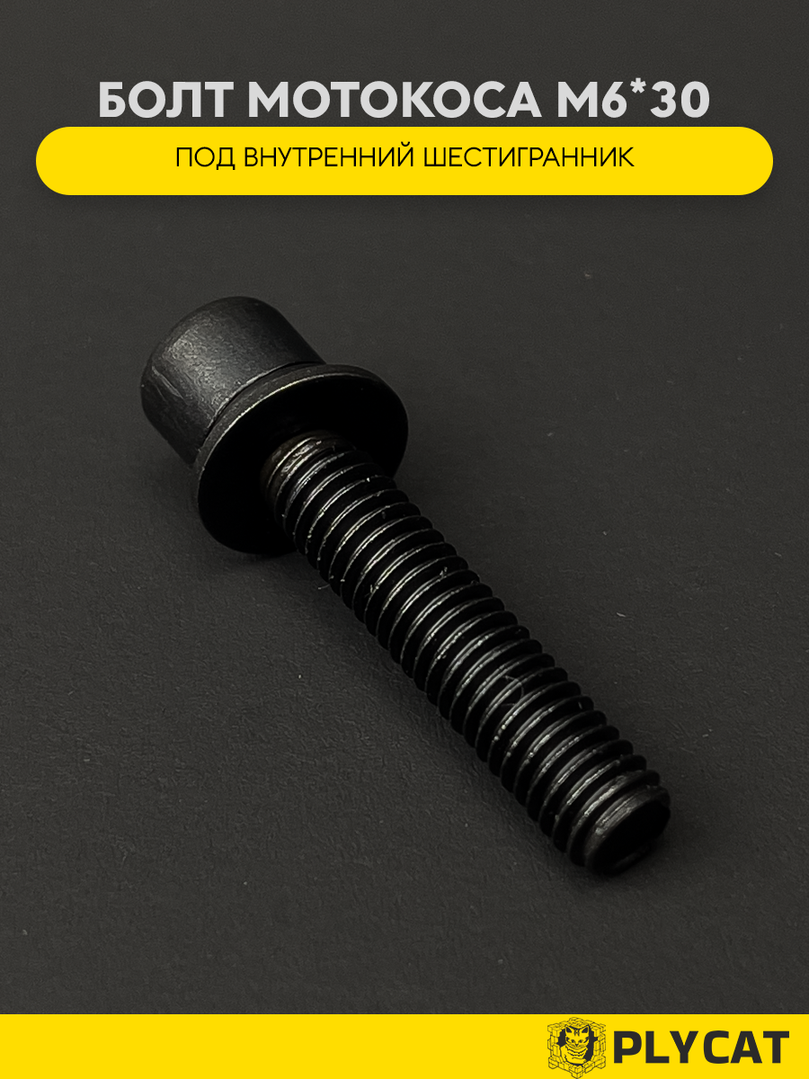 Болт мотокоса М6*30 под внутренний шестигранник