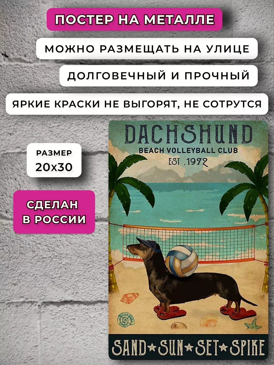 Постер Такса — фото 1