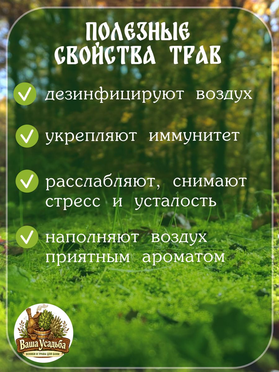Запарка для бани — фото 1