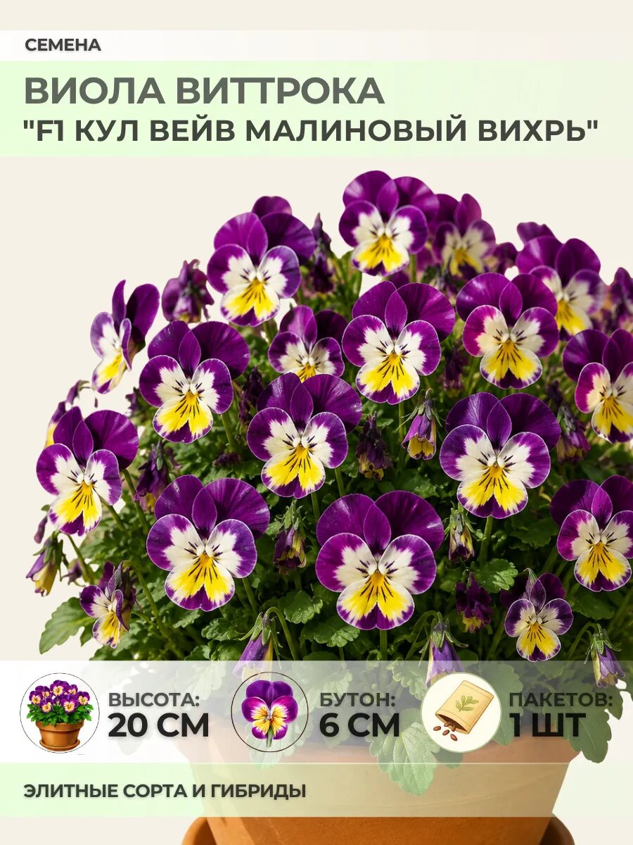 Виола "Кул Вейв Малиновый вихрь" F1, ампельный сорт, меняет окраску от малиновой до жёлтой, 1 упаковка, 3 шт. семян.