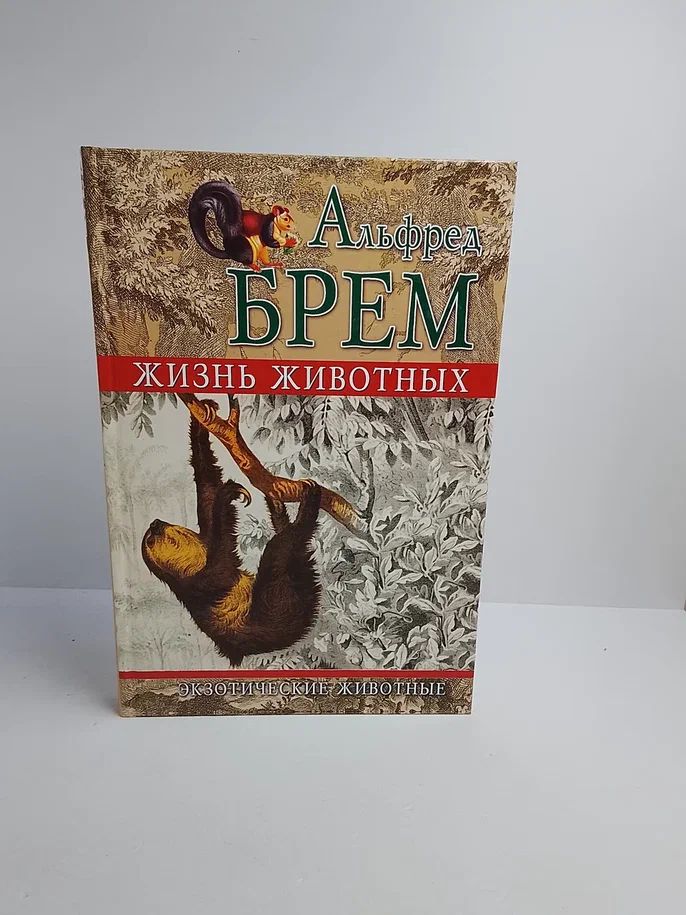Жизнь животных. Экзотические животные