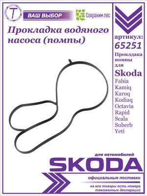 Прокладка водяного насоса (помпы) для Volkswagen Beetle Caddy Golf Jetta Load Up Passat Polo Scirocco Sharan Taos T-Cross Tiguan T-Roc Up / Фольксваген / 65251 ST4400004, 04E121119C