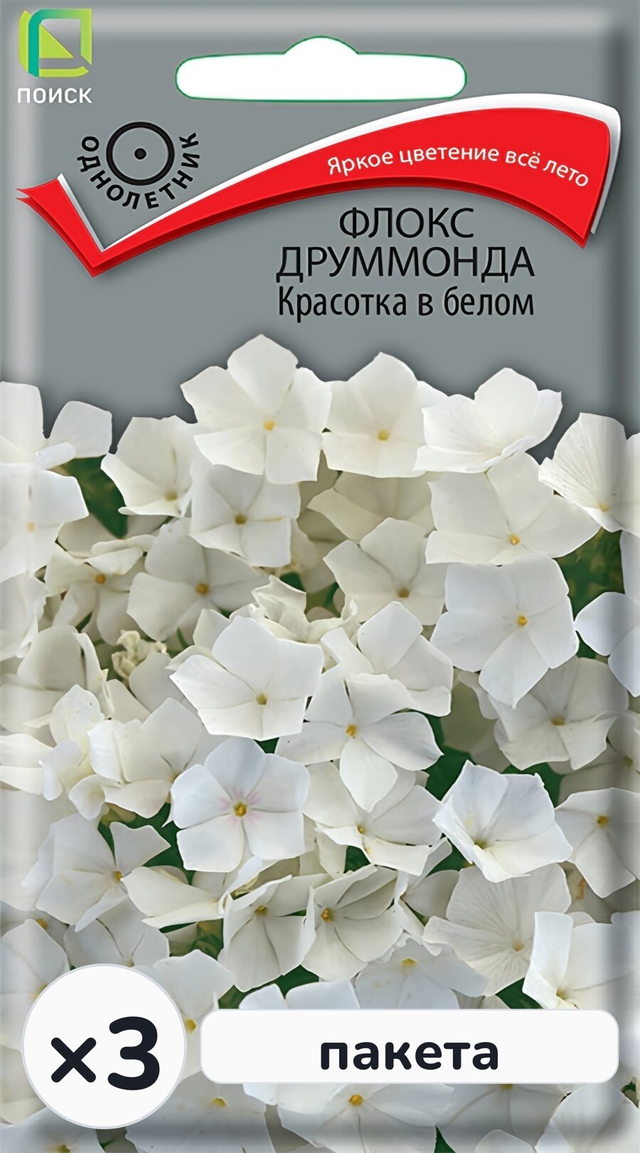 Семена флокса Друммонда Красотка в белом, 0,1 г, 3 пакета, поиск, однолетник, высота до 25 см
