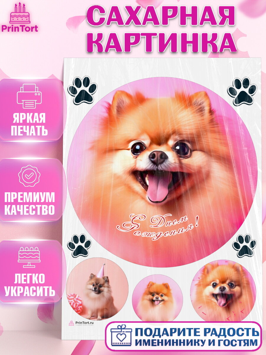 Сахарная картинка для торта Шпиц. Украшения для торта на День Рождения. Декор для выпечки PrinTort
