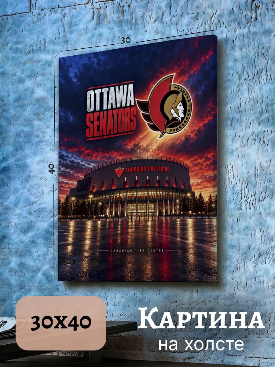 Картина Постер Хоккей НХЛ NHL 40x30 Оттава Сенаторз Канада
