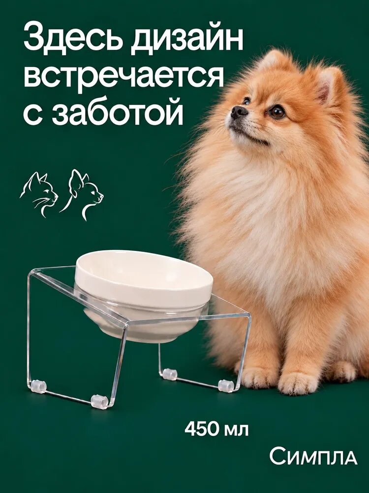 Миска для кошек и собак мелких пород керамическая на подставке с наклоном