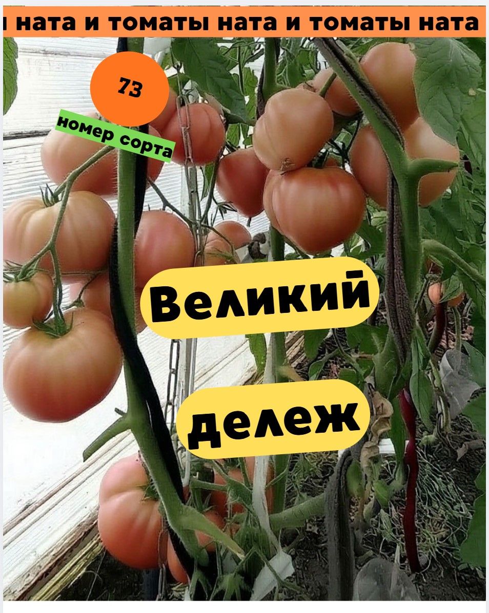 Коллекционные семена томата Великий дележ (урожайный, вкусный) 10 шт